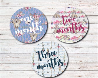 Monthly Baby Stickers Printables watercolor florals hand