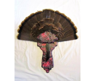 Turkey beard display | Etsy