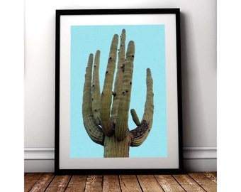 Cactus poster | Etsy