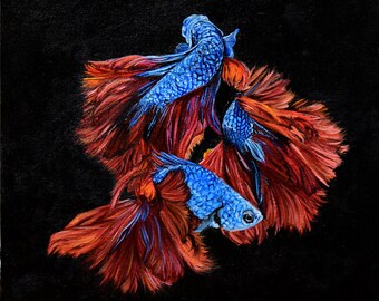 Modern Betta Fish Tank Aquarium Desktop aquarium or Wall