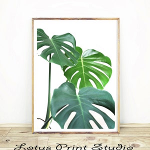 Monstera print | Etsy