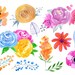 Watercolor floral clipart 56 bright Branches Flowers Leaves