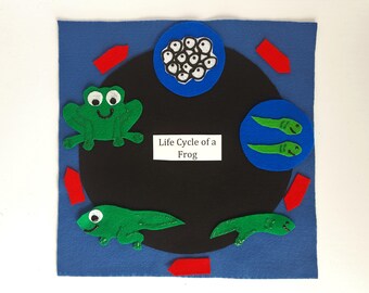 Frog life cycle | Etsy