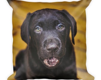 Labrador pillow | Etsy