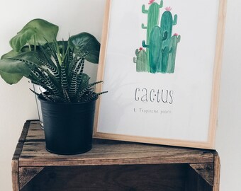 Watercolor Cactus Hedgehog PNGJPG