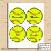 4 Softball Tags With Editable Names INSTANT DOWNLOAD DIY