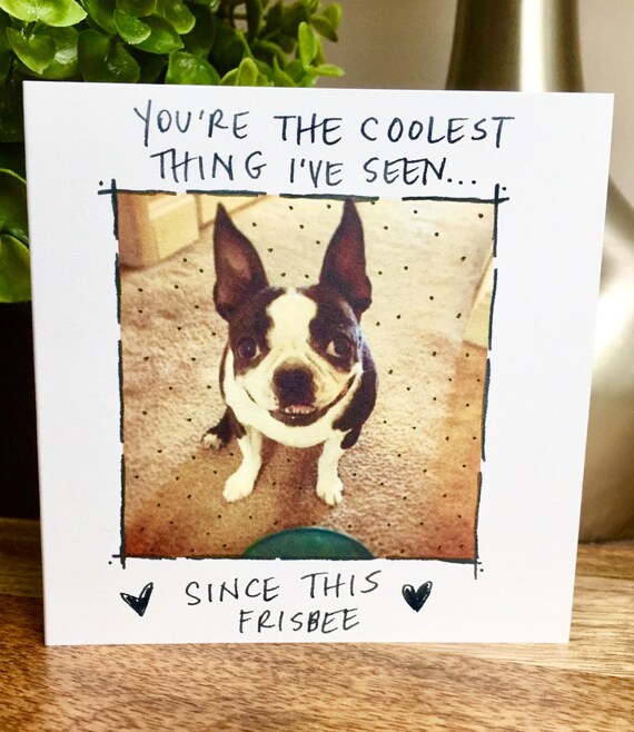 You re The Coolest Card Funny Just Because Card Boston you-re-the-coolest-card-funny-just-because-card-boston