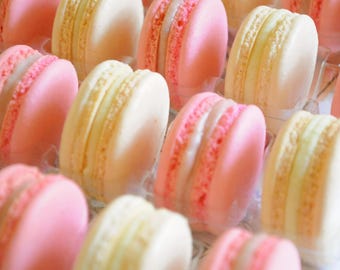 Macaroons | Etsy