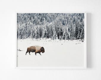 Buffalo poster Buffalo print Buffalo art Yellowstone