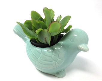 Ceramic bird planter | Etsy