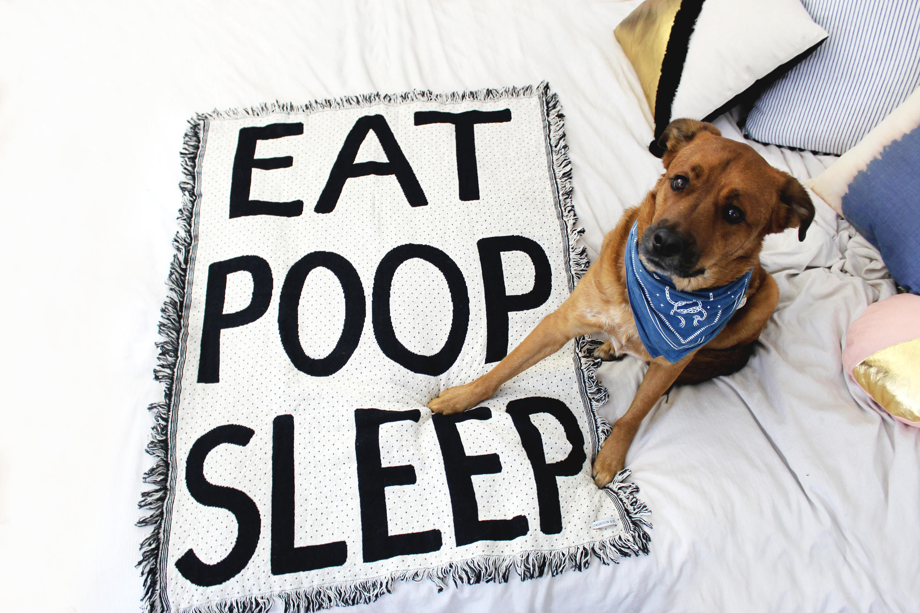 EAT POOP SLEEP Mini Throw Blanket Black and White Cotton