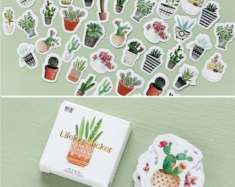 Cactus stickers | Etsy