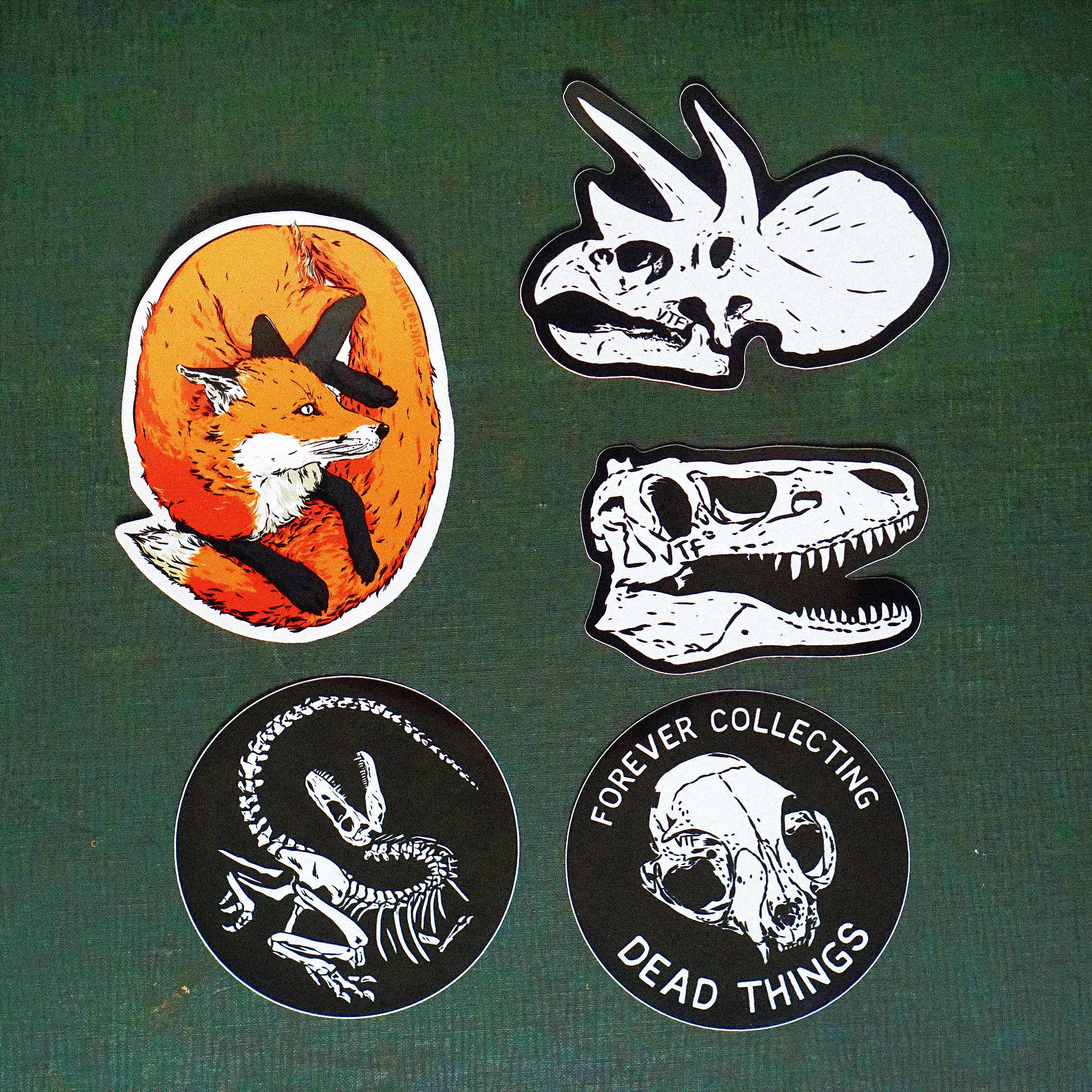 Vinyl Stickers Dinosaurs Foxes Skulls Fossils: