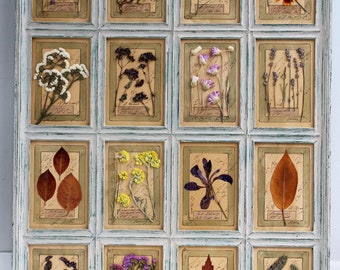 Pressed flower art | Etsy