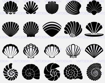 Shell svg | Etsy