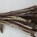 Birch branches 40 pcs birch tree decor natural branch