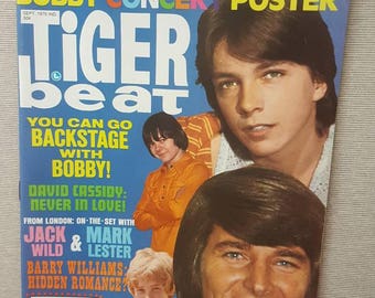 Tiger beat magazines | Etsy