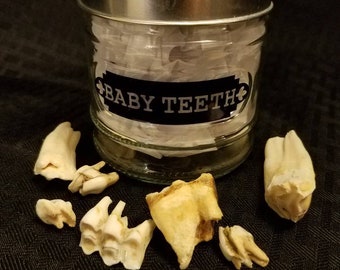 Baby teeth | Etsy