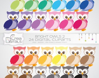 Baby owl clip art Girl owl clipart Rainbow owls on branches