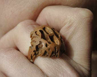 Black walnut shells | Etsy