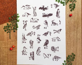 A3 Bird Alphabet print