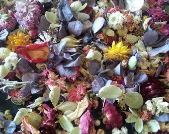 Dried flowers | Etsy