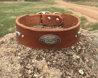 Western dog collar | Etsy
