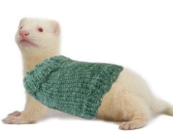 Ferret clothes | Etsy