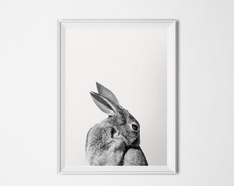 Rabbit print | Etsy