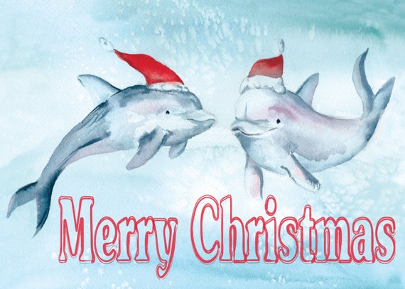 Dolphin Holiday Card by Dotty Reiman Dolphin Christmas Card