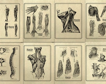 Physical therapy art | Etsy