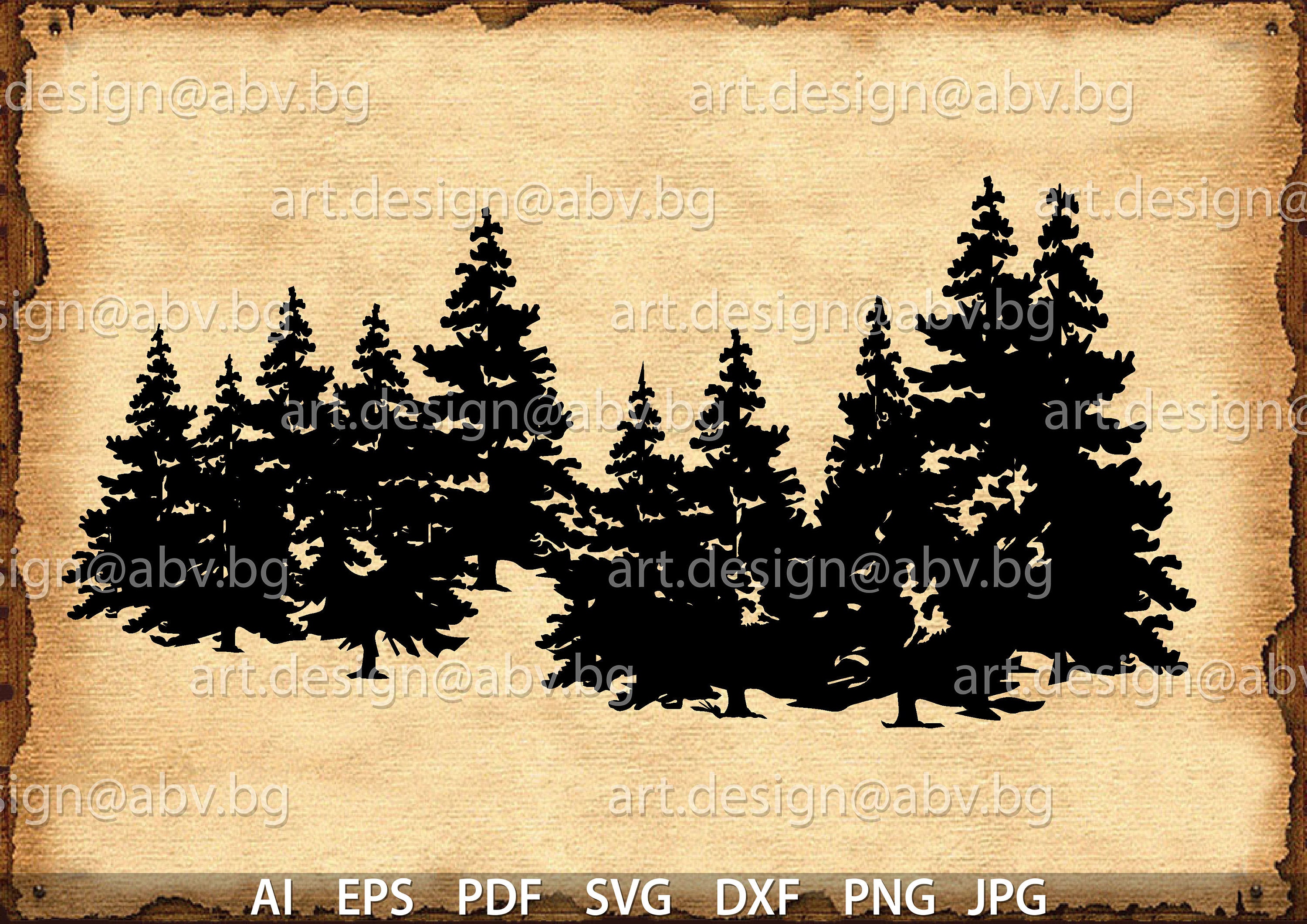 Vector CONIFERS evergreen AI eps pdf svg dxf png jpg