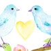 Bird Clip Art Bird Collection blue bird pink bird yellow