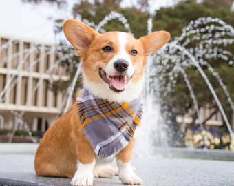 Corgi scarf | Etsy