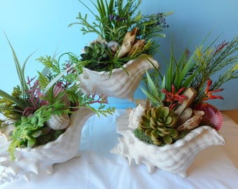 Seashell arrangement | Etsy