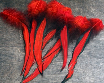 Red feathers | Etsy