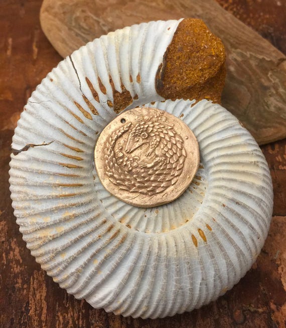 Bronze Pangolin Coin