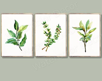 Bay Leaves Herb Painting Print from Original Watercolor