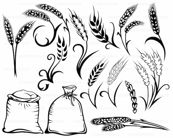 Blé svg/seigle clipart/blé svg/seigle silhouette/blé