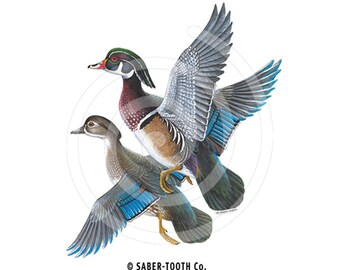 Wood duck decal | Etsy
