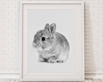 Rabbit print | Etsy
