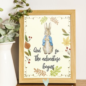 Beatrix potter | Etsy