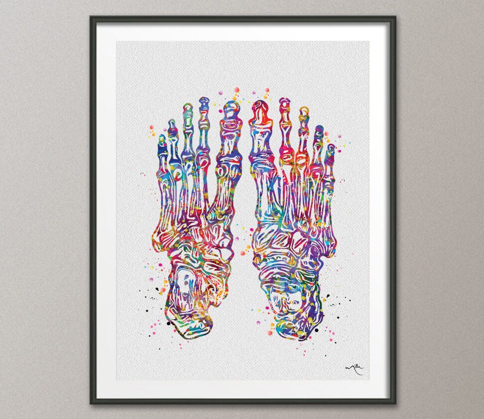 Foot Bones Watercolor Print Skeletal Foot Bones Medical Art
