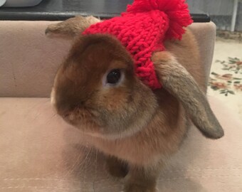 Pet rabbit clothing | Etsy