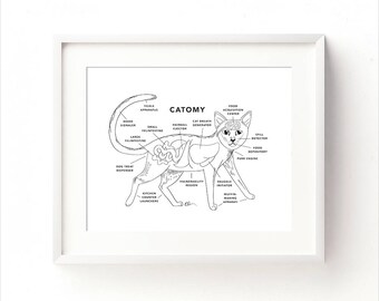 Cat anatomy | Etsy
