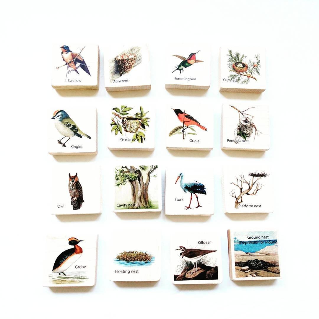 Wooden memory puzzle Montessori toys bird nest puzzle