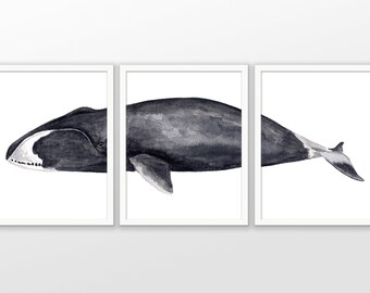 Whale painting | Etsy
