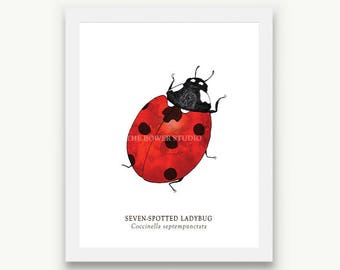 Ladybug print | Etsy