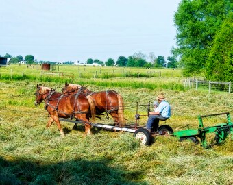 Hay rake | Etsy