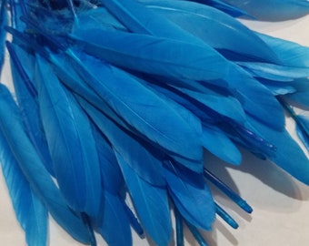 Blue feathers | Etsy